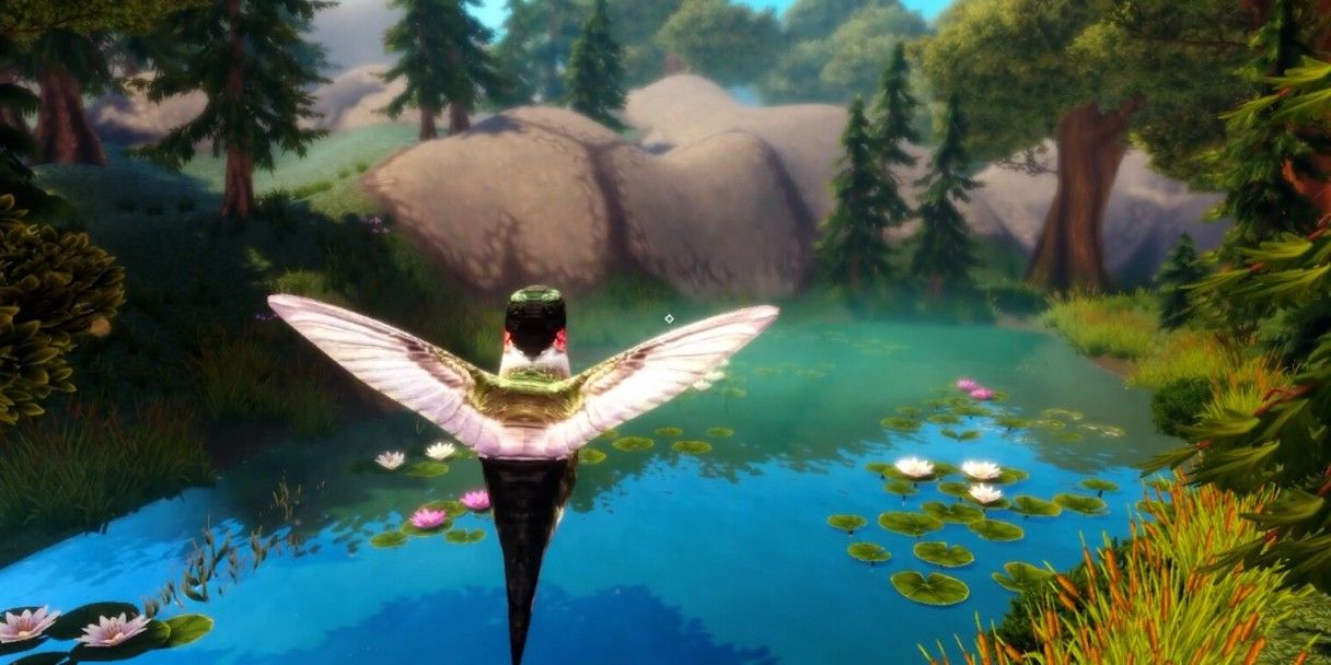 Bird Game 3: существует ли игра, когда выйдет и можно ли ее скачать на ПК